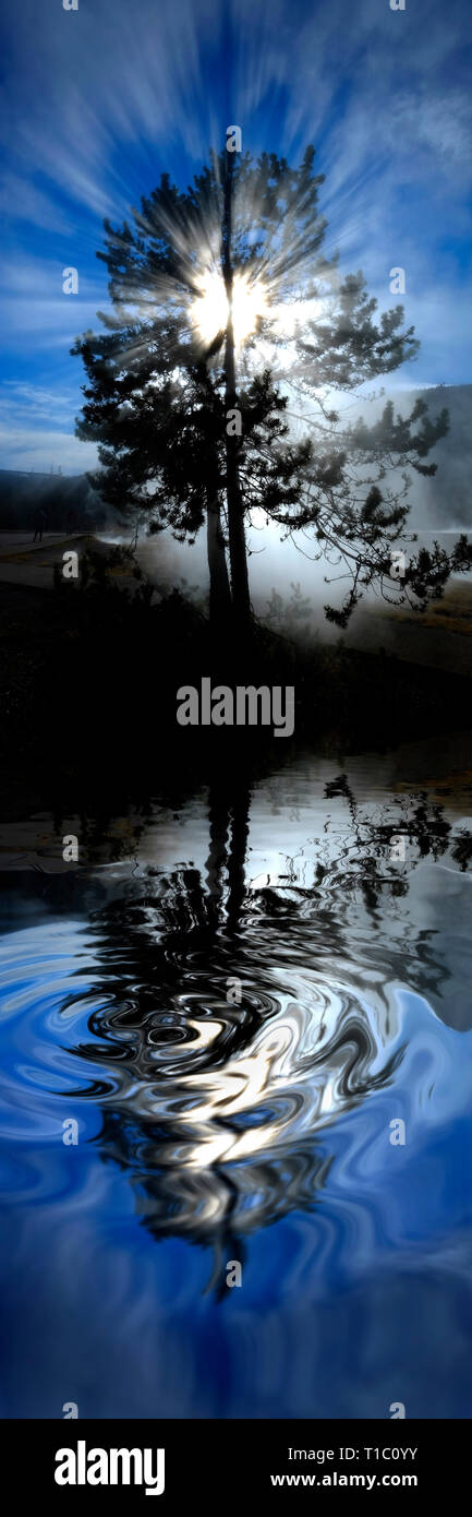 Steam and tree with sunlight rays sunshine sun blue sky reflecting in ...