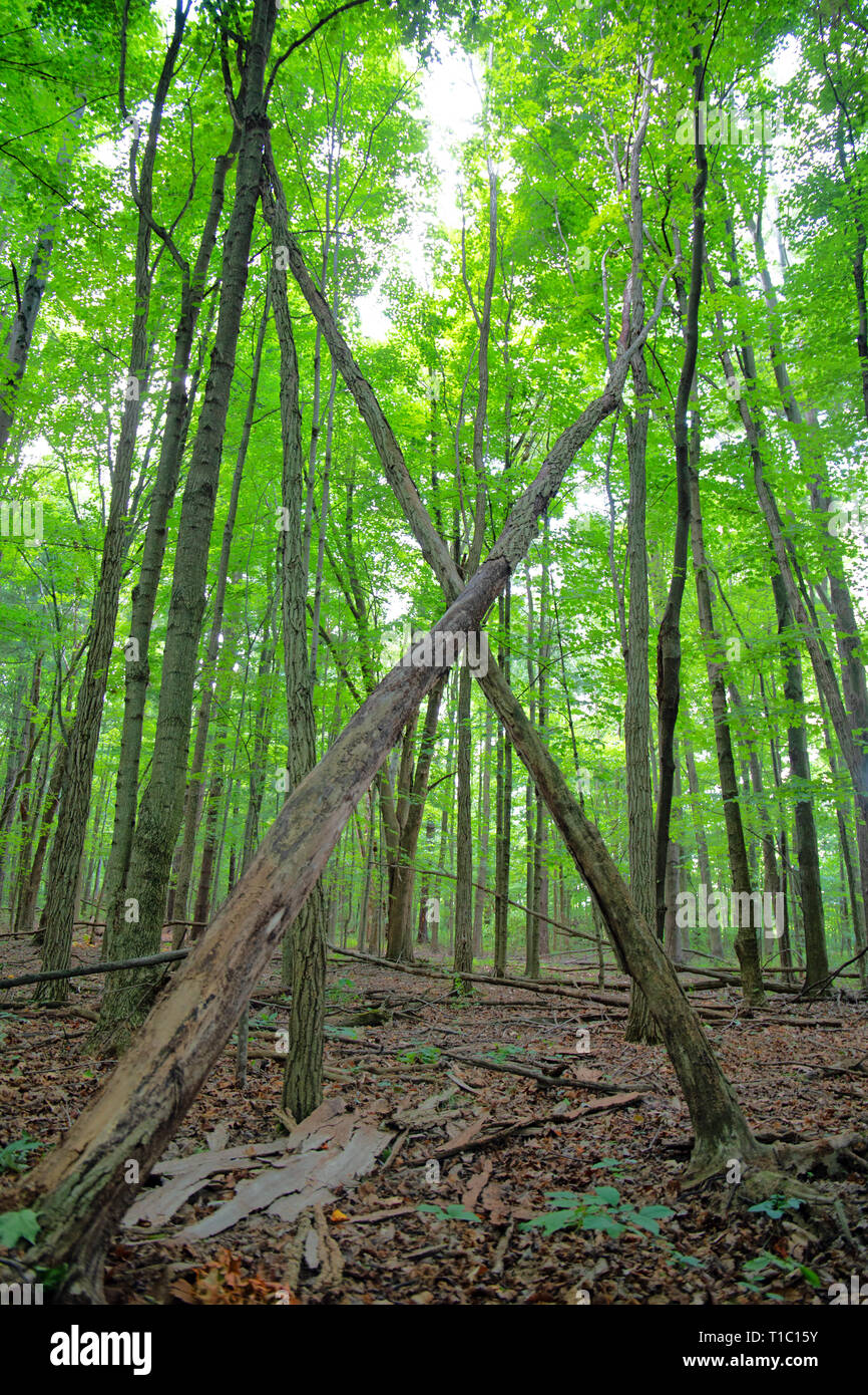 Hike and bike trails hi-res stock photography and images - Alamy
