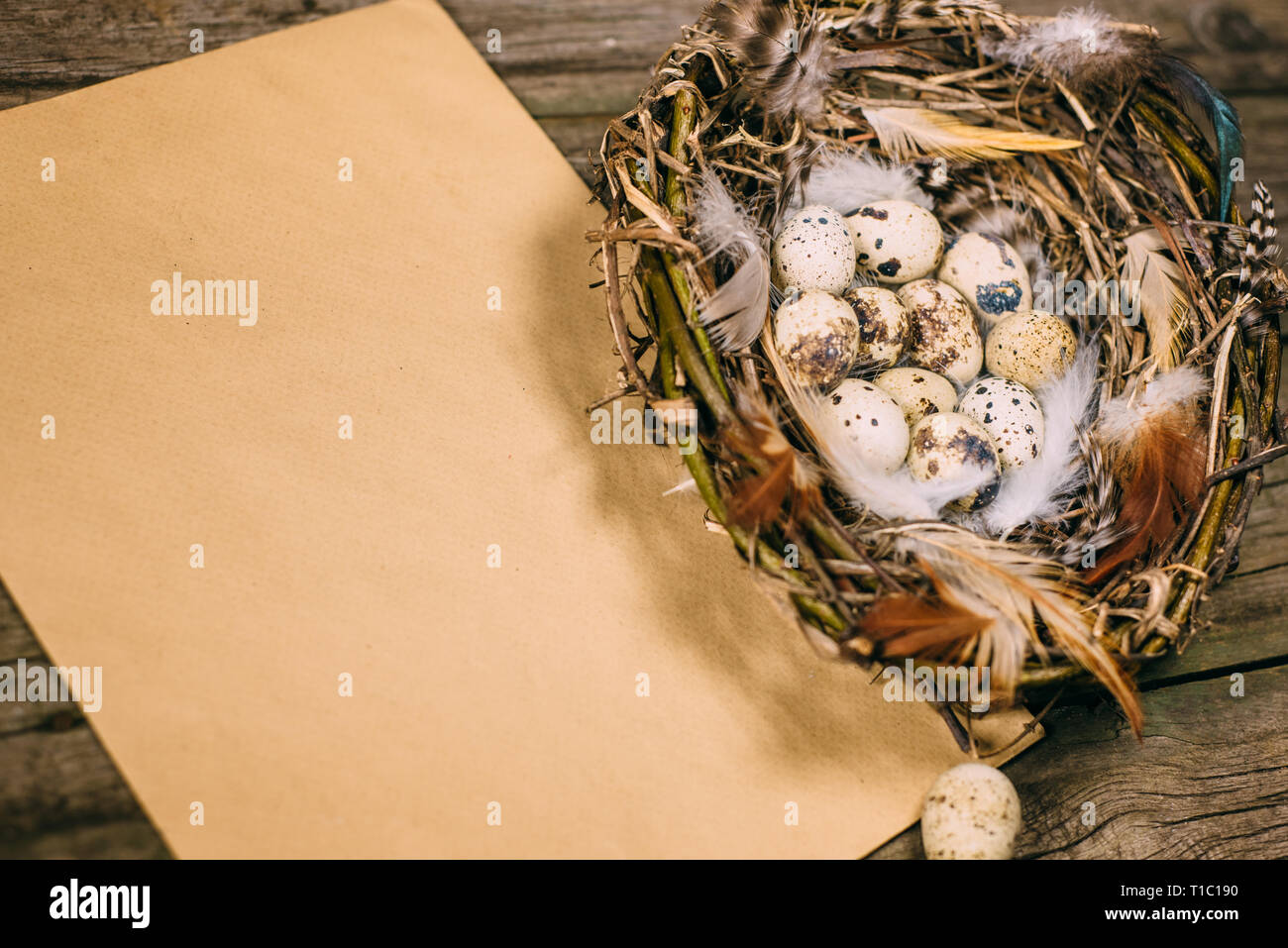 Nest with quail eggs and feathers on paper for text on wood board ...