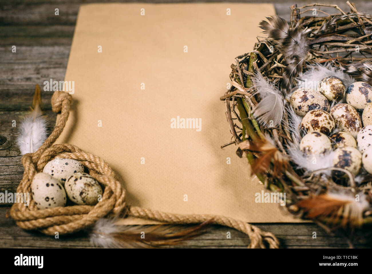Coil of rope and nest with quail eggs on sheet of paper for text on old ...