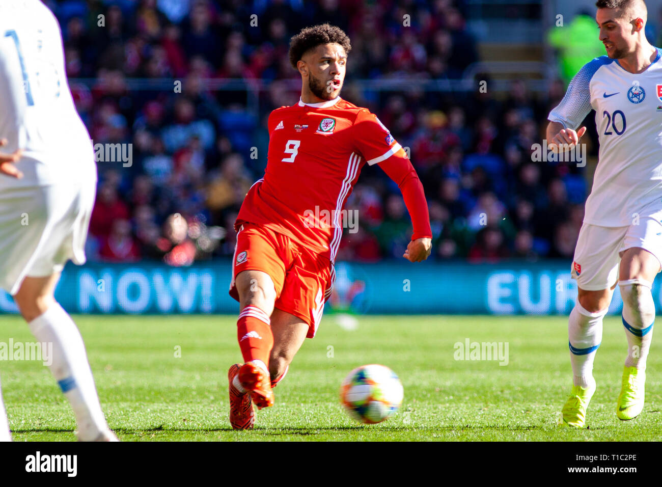Tyler roberts wales hi-res stock photography and images - Alamy