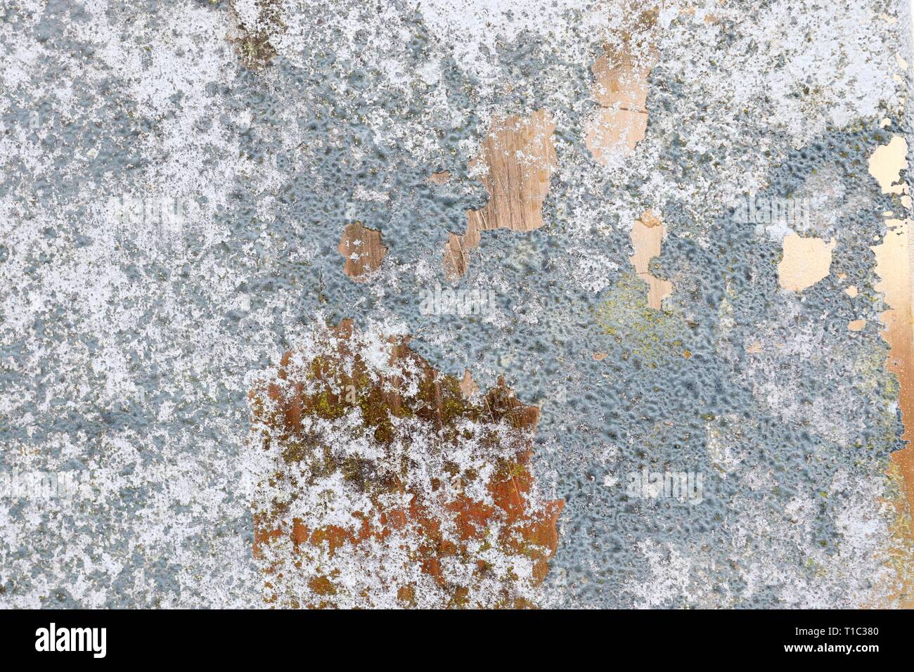 Close up detailed surface of weathered paint on different walls in high ...