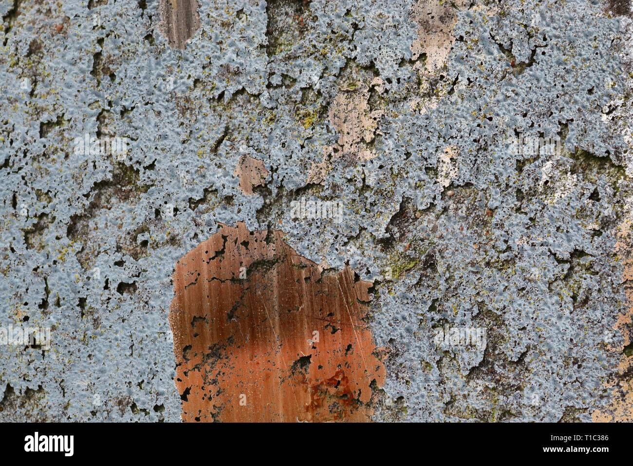 Close up detailed surface of weathered paint on different walls in high ...