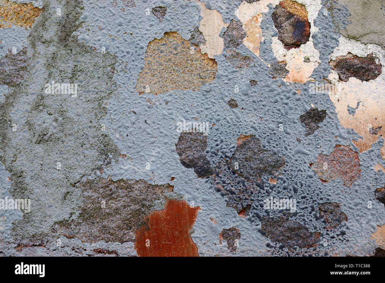Close up detailed surface of weathered paint on different walls in high ...