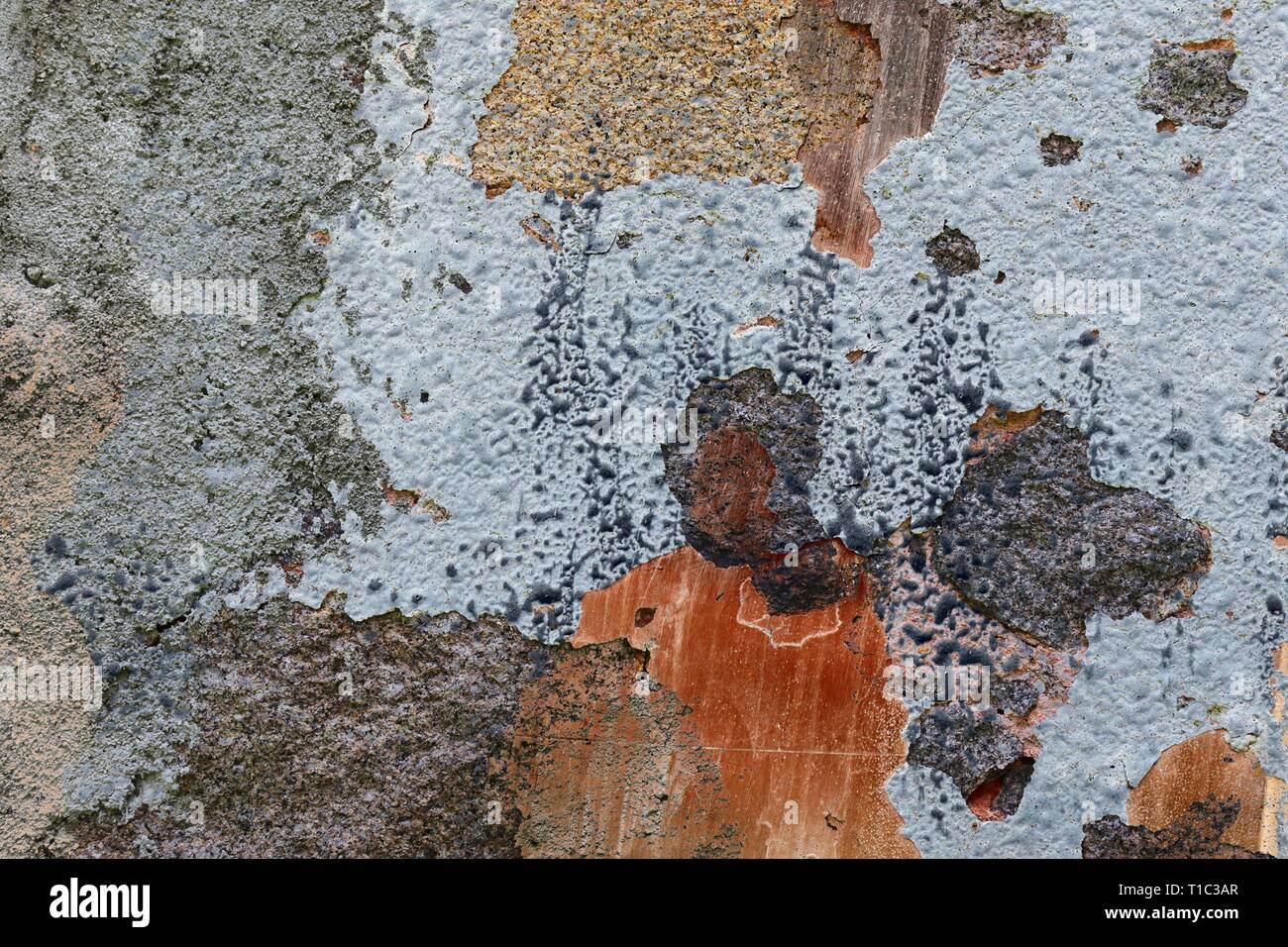 Close up detailed surface of weathered paint on different walls in high ...