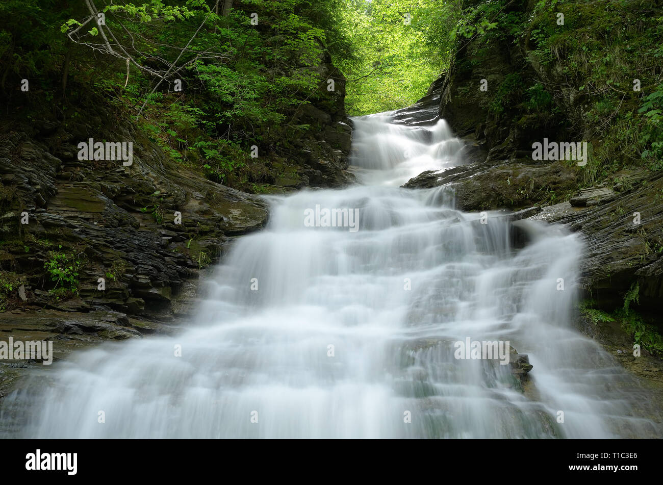 Spring landscape with mountain waterfall Stock Photo - Alamy