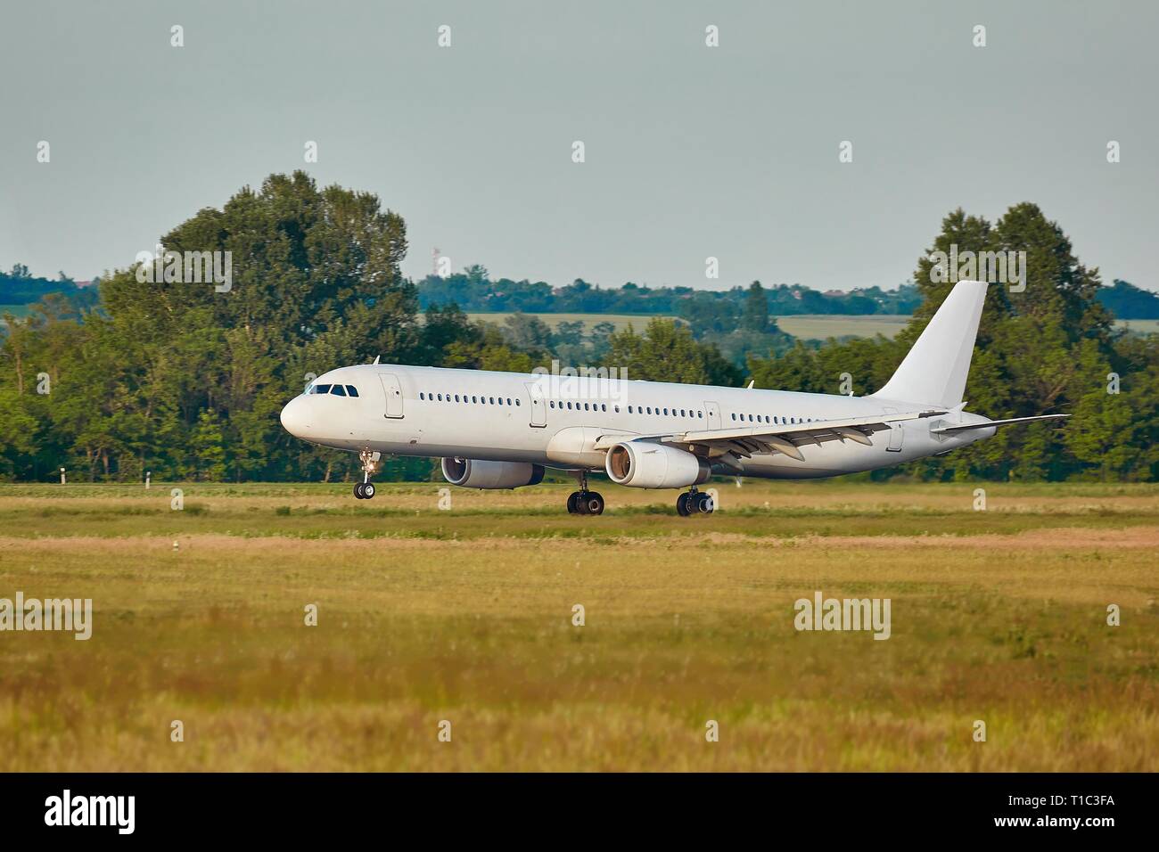 Plane landing on runway Stock Photo - Alamy
