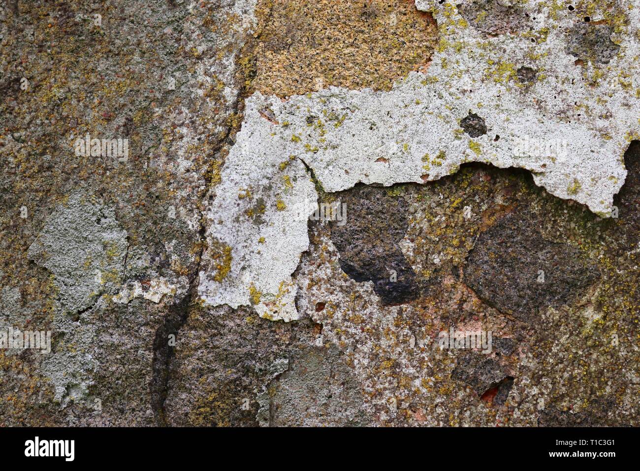 Close up detailed surface of weathered paint on different walls in high ...