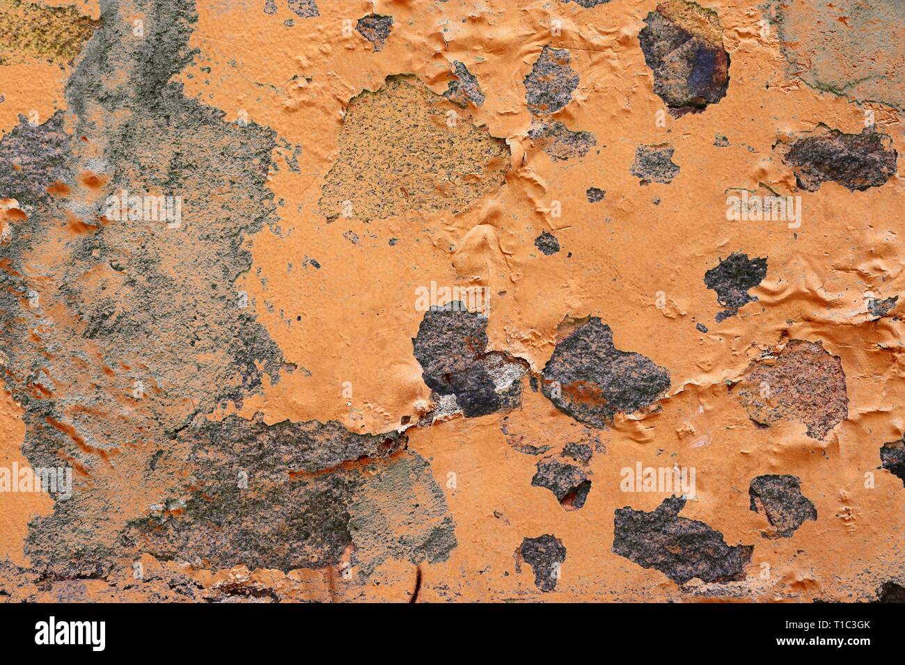 Close up detailed surface of weathered paint on different walls in high ...