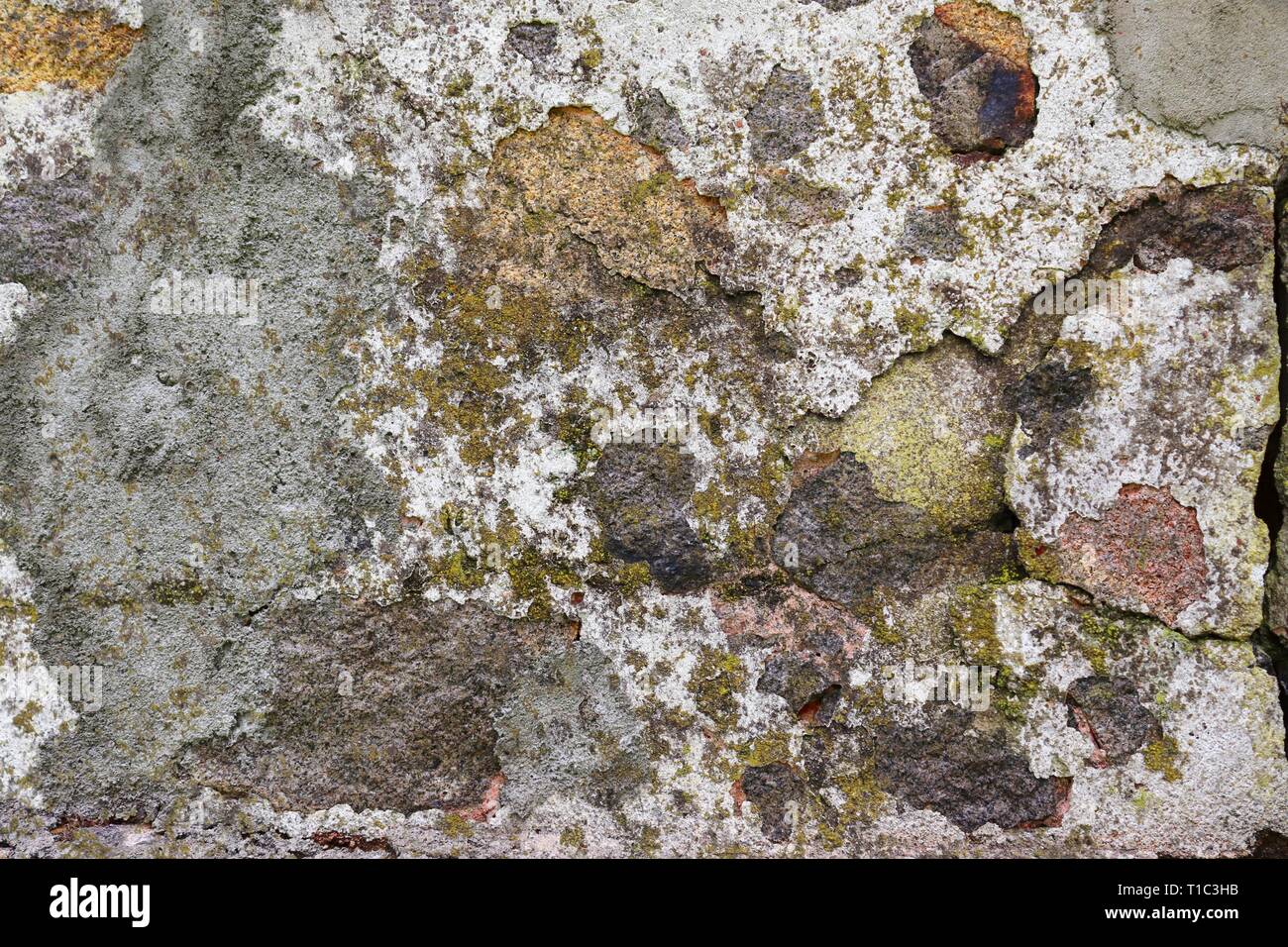 Close up detailed surface of weathered paint on different walls in high ...