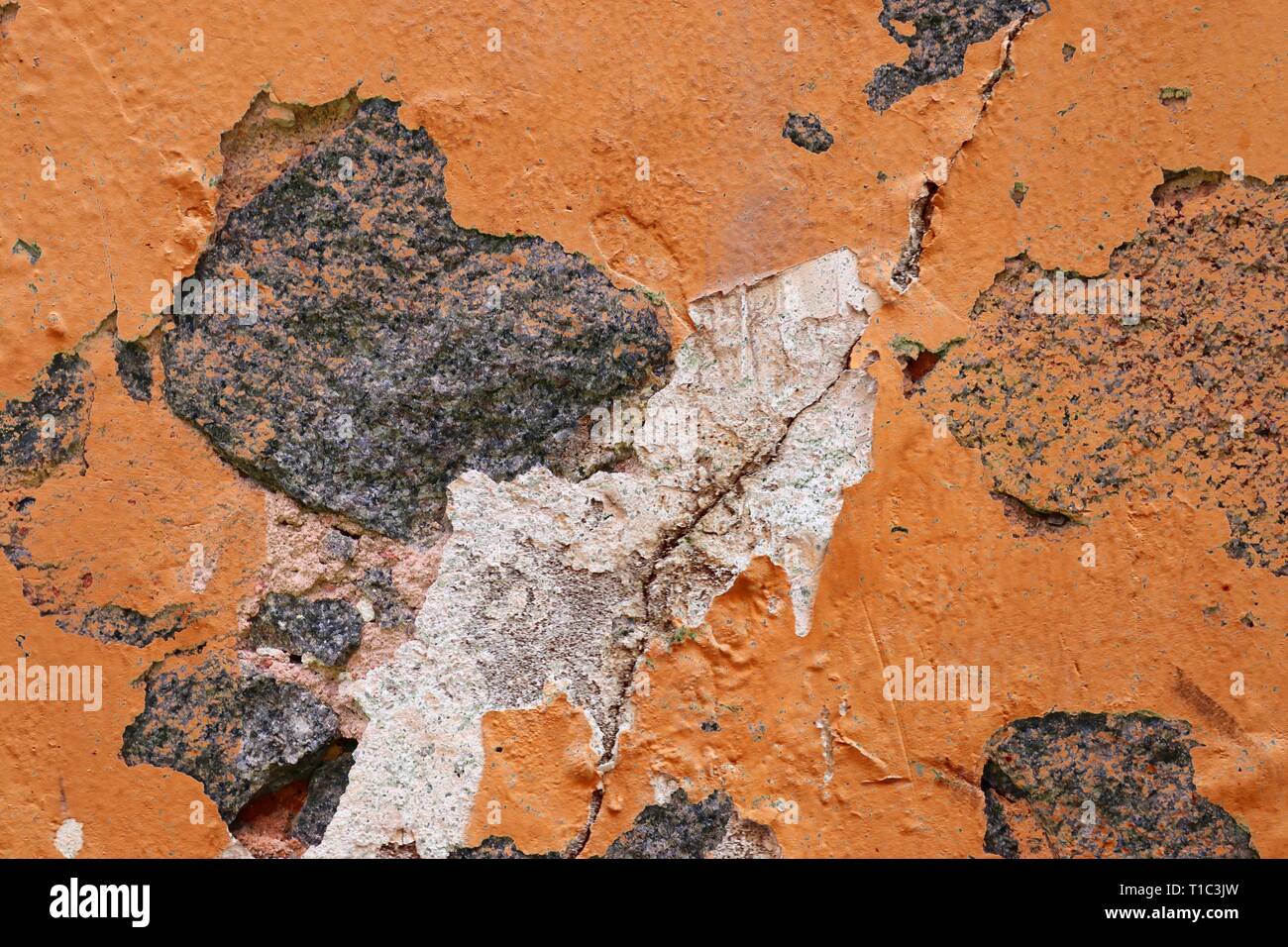 Close up detailed surface of weathered paint on different walls in high ...