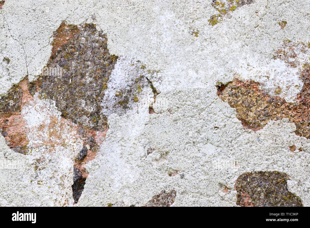 Close up detailed surface of weathered paint on different walls in high ...