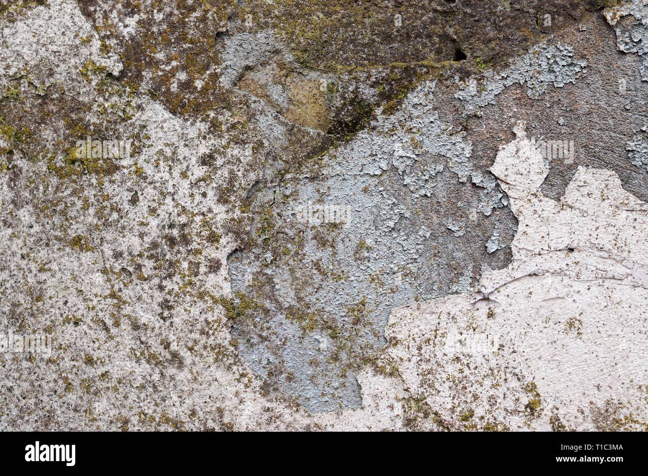 Close up detailed surface of weathered paint on different walls in high ...