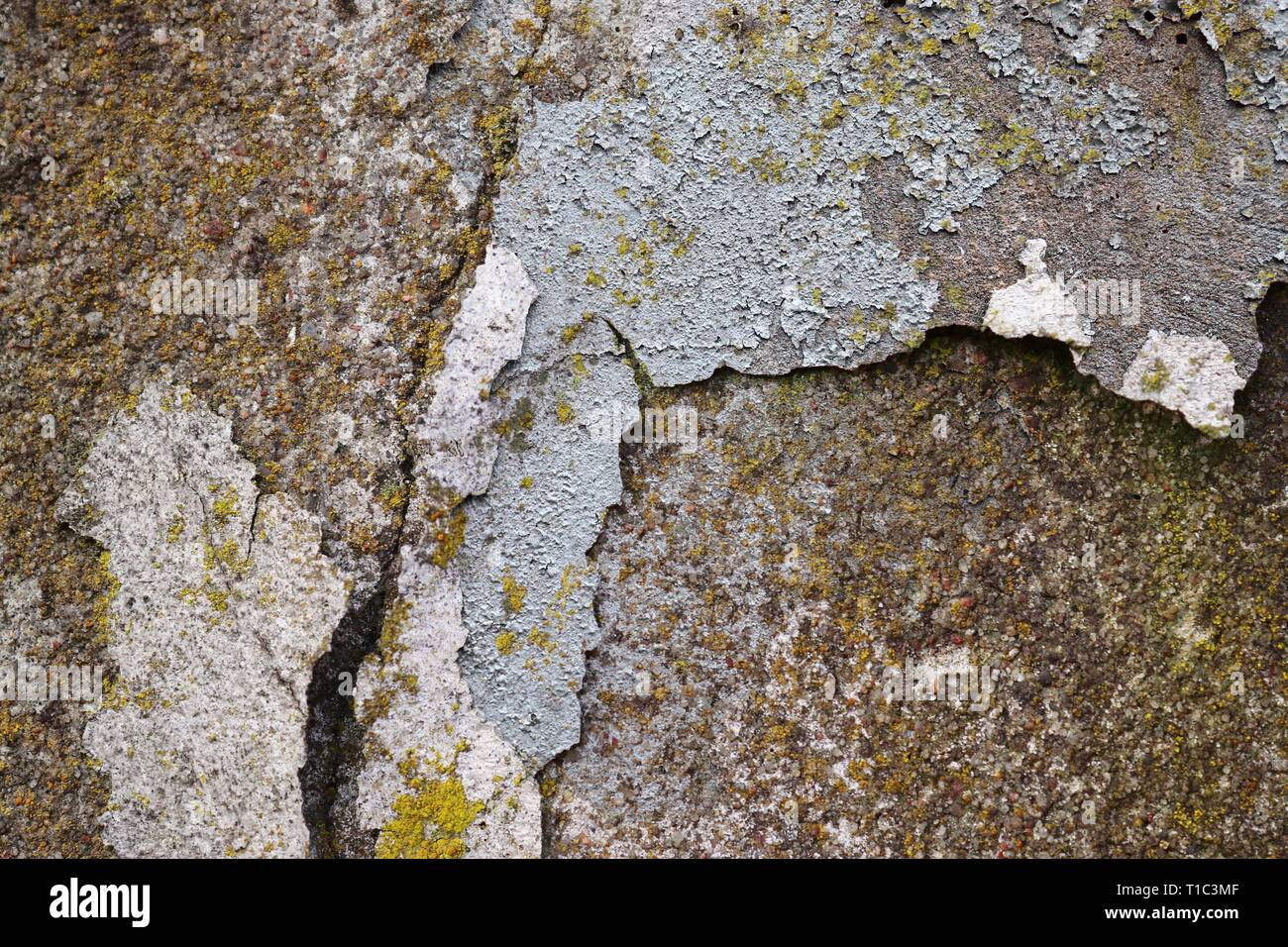 Close up detailed surface of weathered paint on different walls in high ...