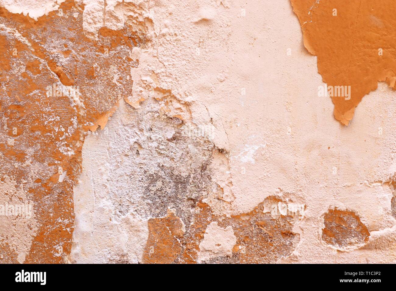 Close up detailed surface of weathered paint on different walls in high ...
