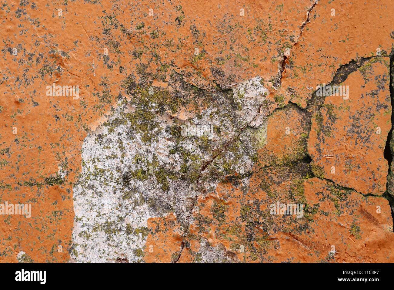 Close up detailed surface of weathered paint on different walls in high ...