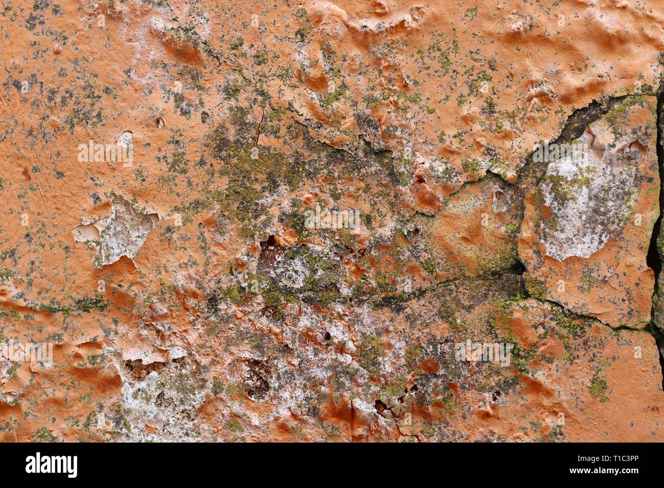 Close up detailed surface of weathered paint on different walls in high ...