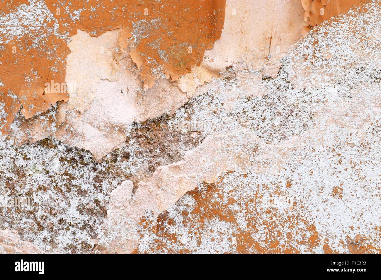 Close up detailed surface of weathered paint on different walls in high ...
