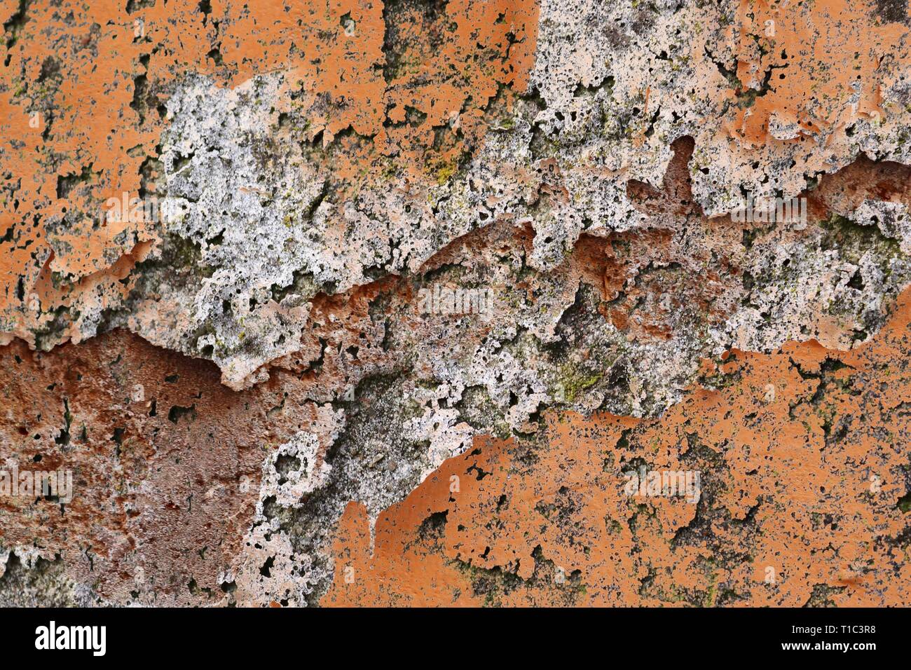 Close up detailed surface of weathered paint on different walls in high ...