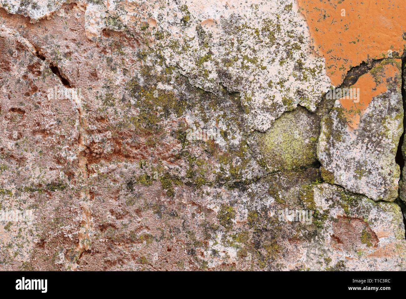 Close up detailed surface of weathered paint on different walls in high ...
