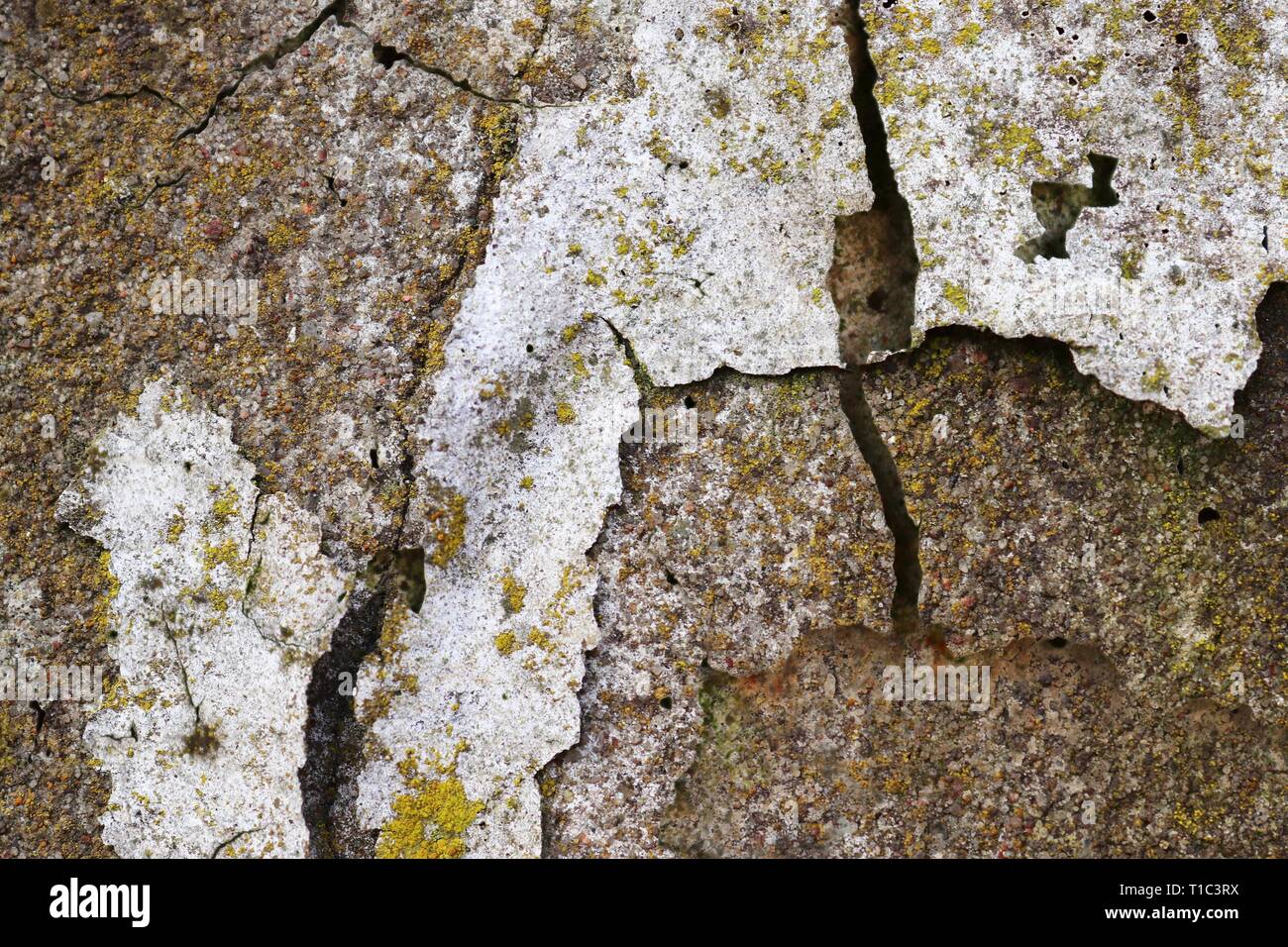 Close up detailed surface of weathered paint on different walls in high ...