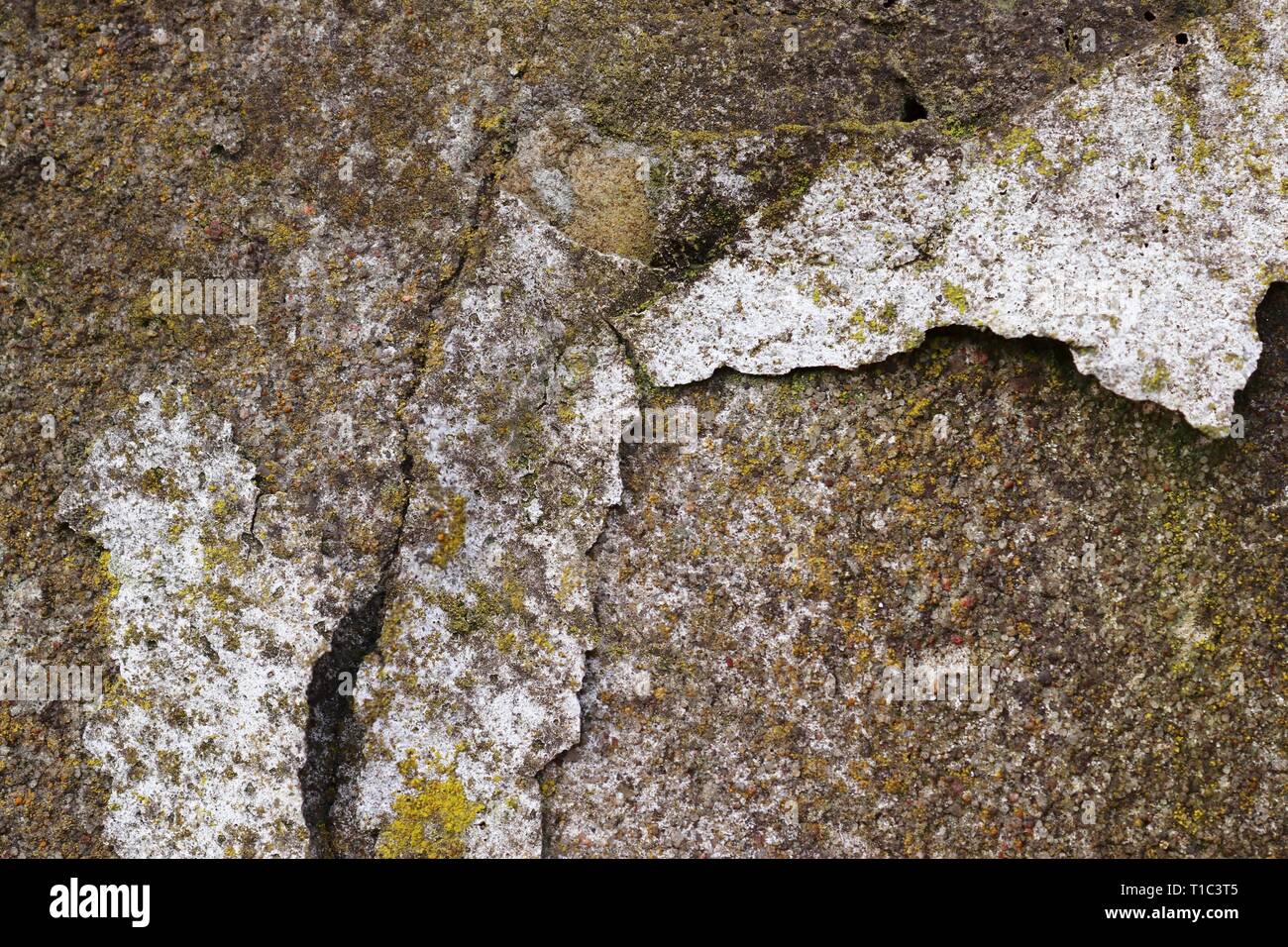 Close up detailed surface of weathered paint on different walls in high ...