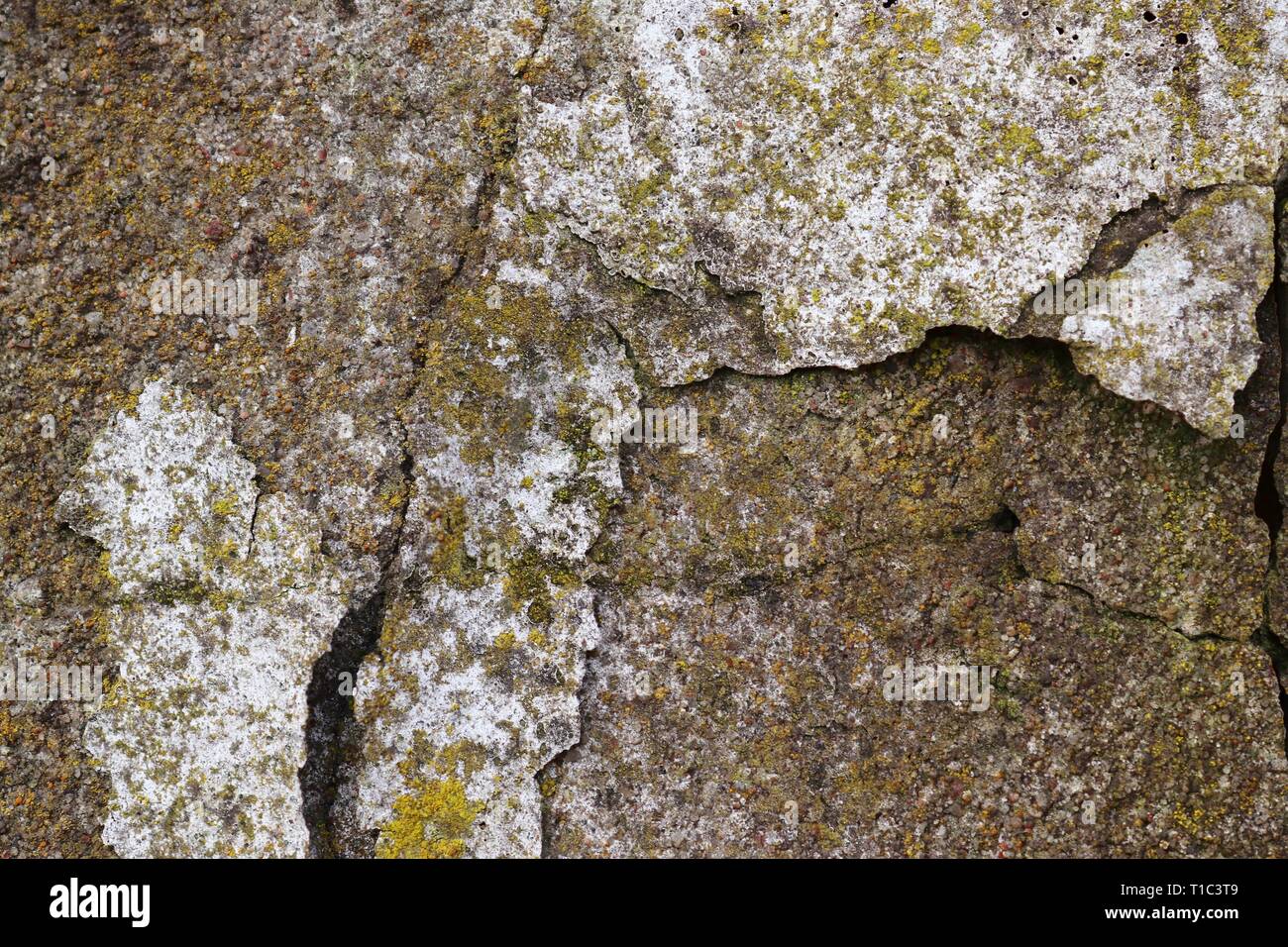 Close up detailed surface of weathered paint on different walls in high ...