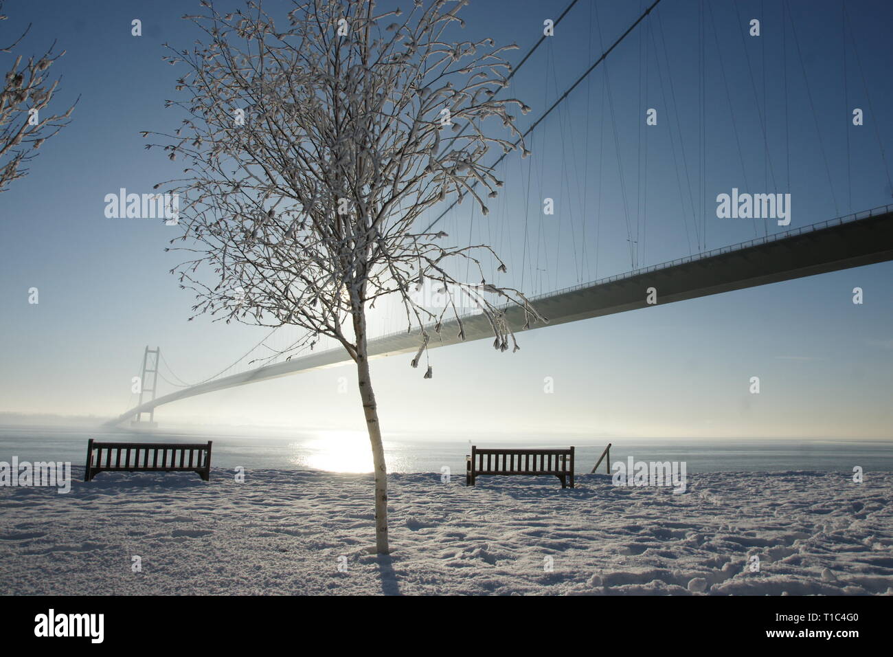Yorkshire bridge in snow hi-res stock photography and images - Alamy