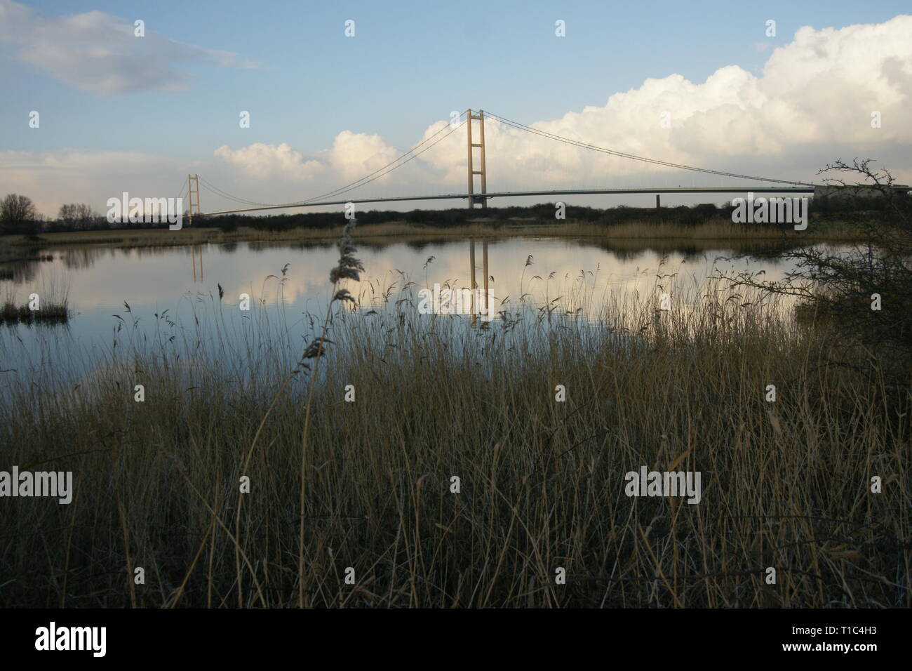 The Humber Bridge, Far Ings National Nature Reserve Stock Photo - Alamy