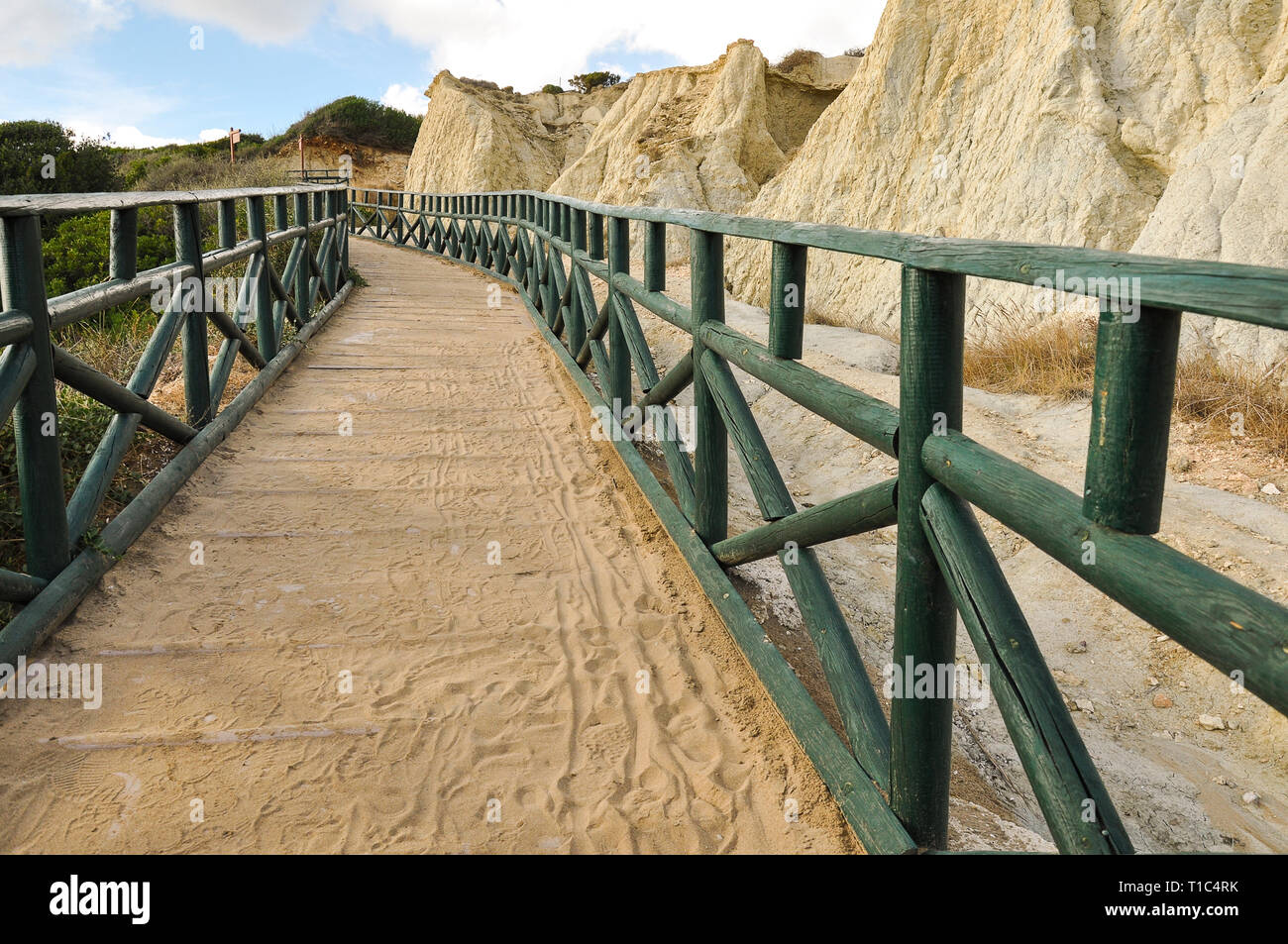 Walk Way Boardwalk Path Nature High Resolution Stock Photography and ...