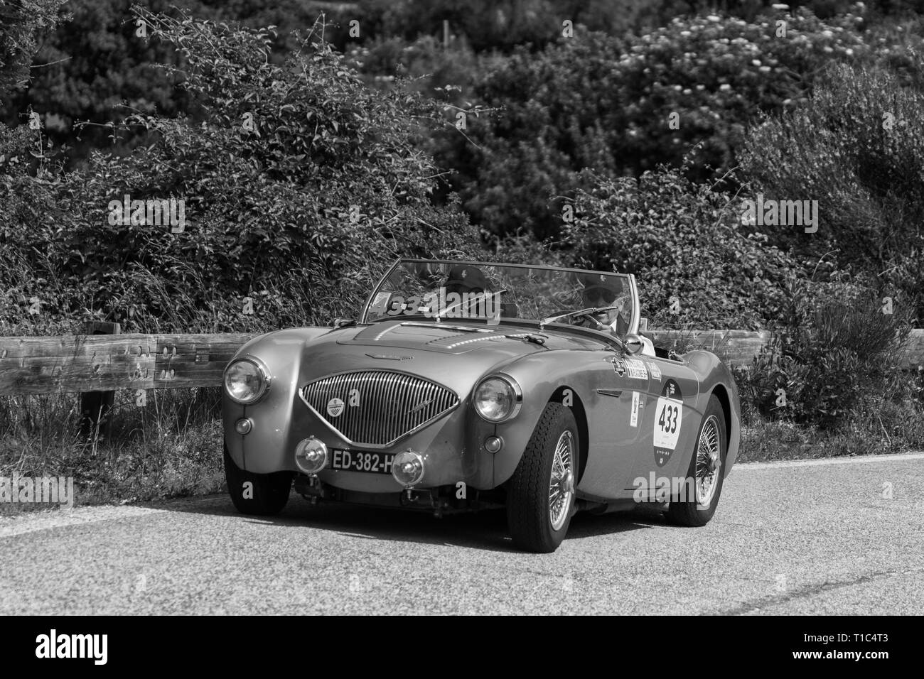1956 Austin Healey 100 4