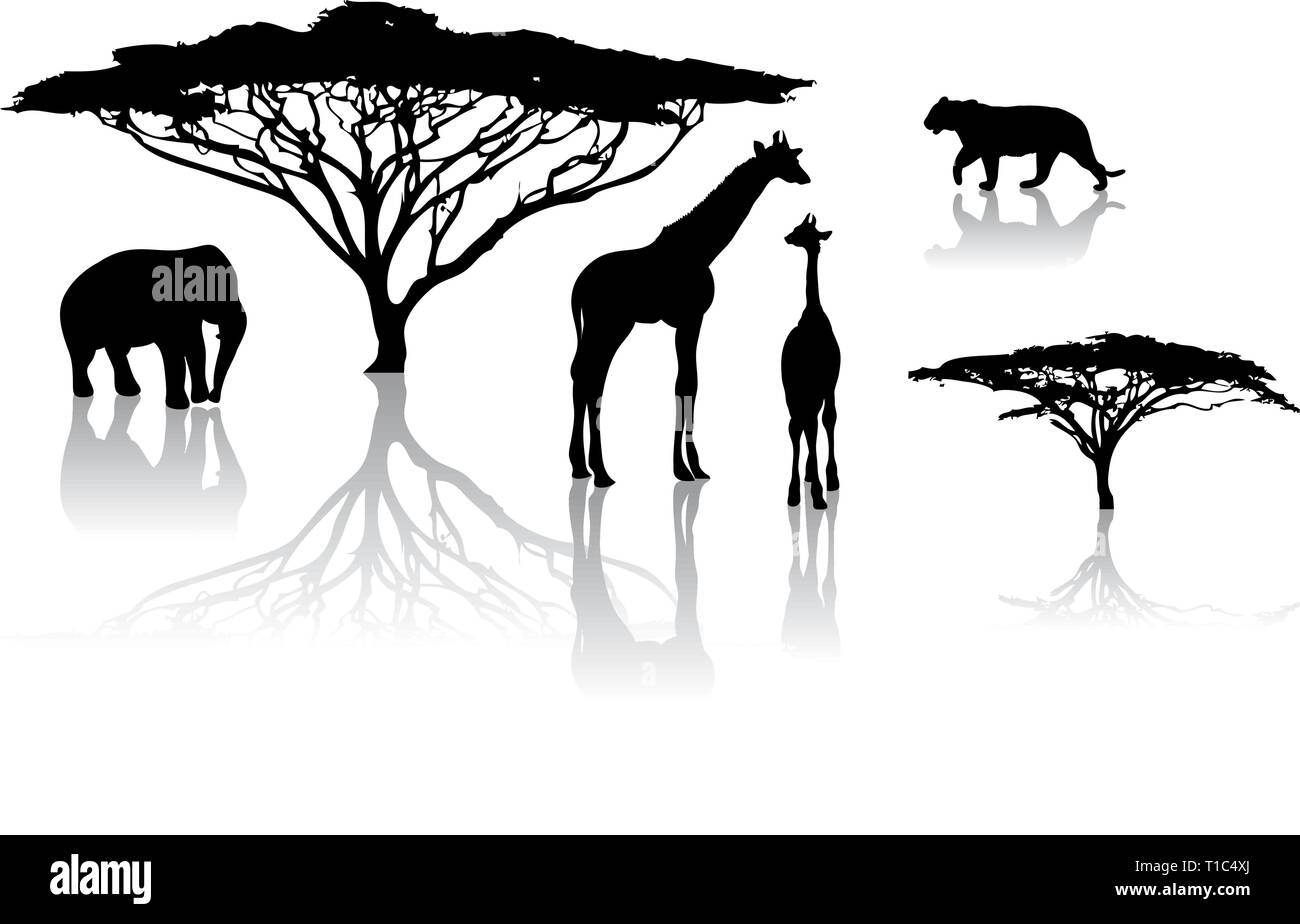 Silhouettes of animals from safari / zoo Stock Vector Image & Art - Alamy