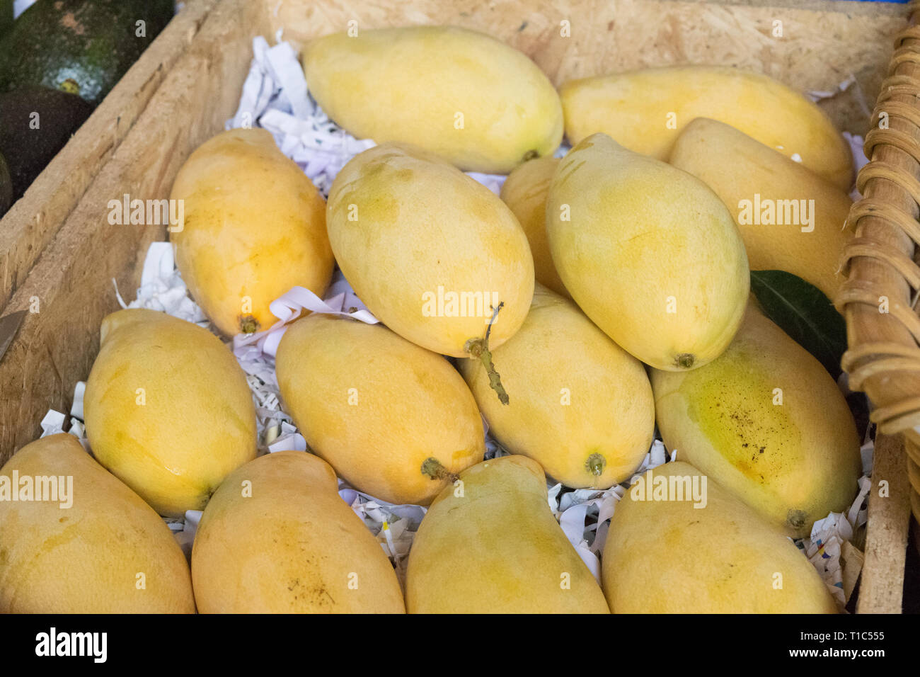 Mango prepared in a basket Stock Photo - Alamy