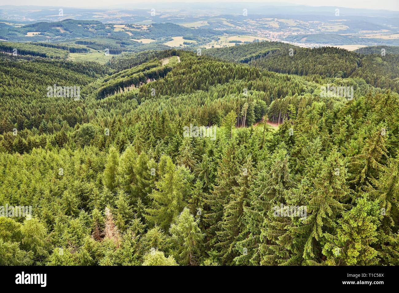 Forest landscape conservation hi-res stock photography and images - Alamy