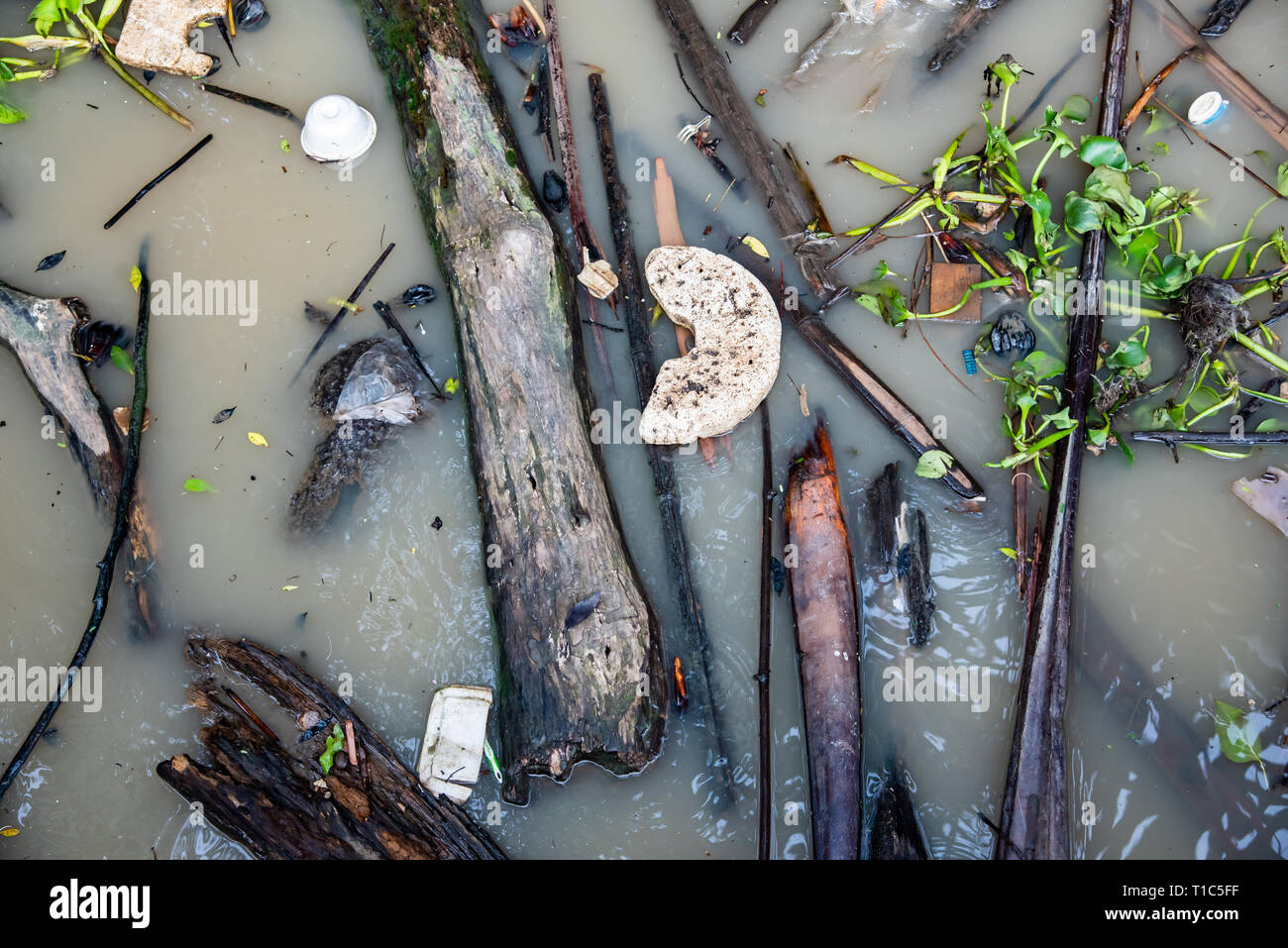 Garbage in the river is destroy the environment. World Environment Day ...