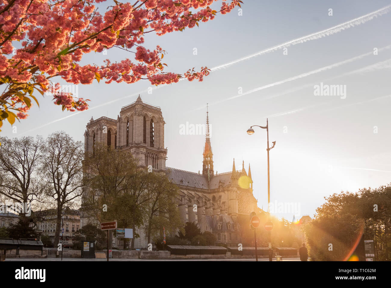Paris, Notre Dame cathedral with spring trees in France Stock Photo - Alamy