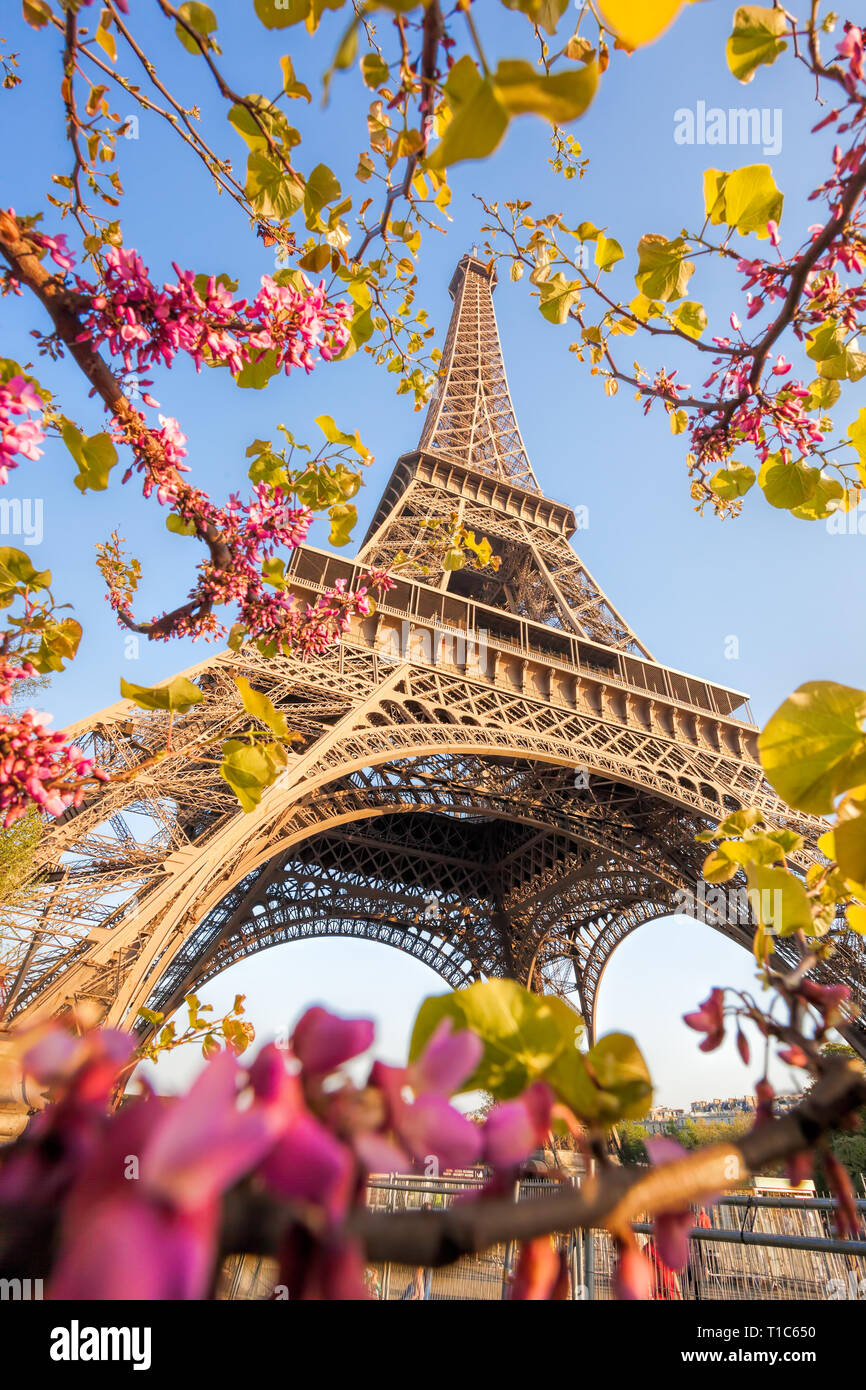 Eiffel Tower during spring time in Paris, France Stock Photo - Alamy