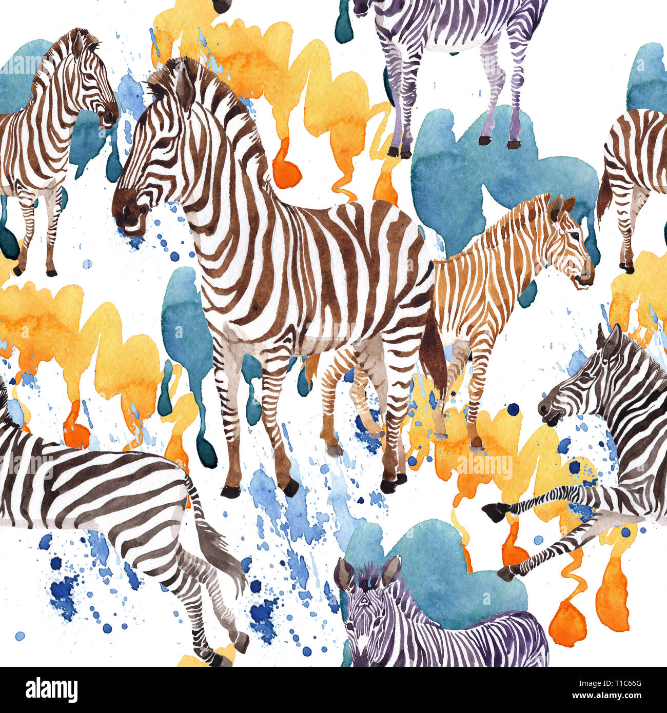 Exotic zebra wild animal in a watercolor style. Watercolor background ...