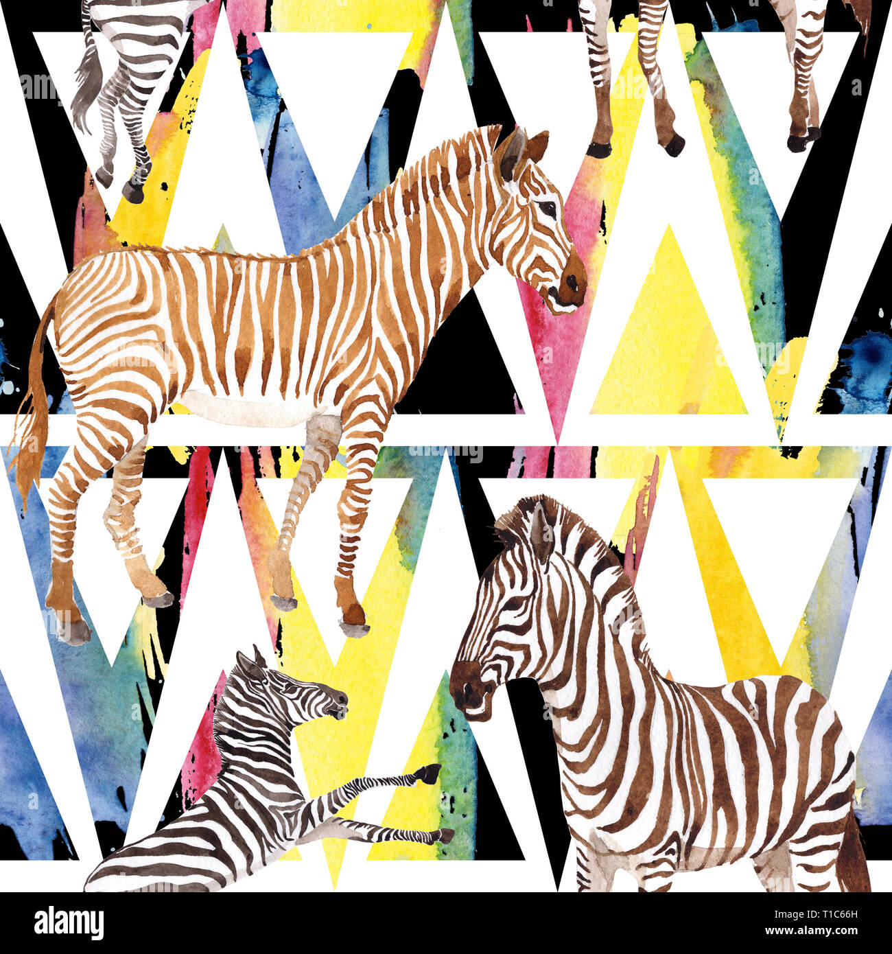Exotic zebra wild animal in a watercolor style. Watercolor background ...