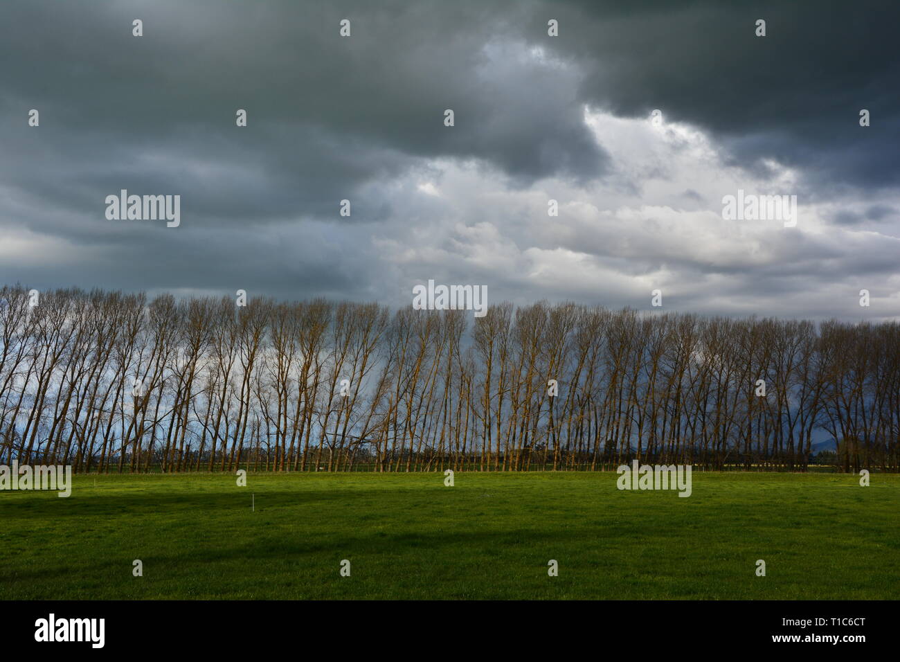 Thunderstorm clouds before rain hi-res stock photography and images - Alamy