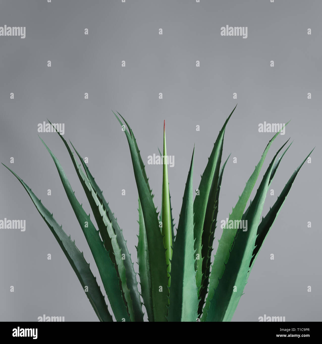 Green life concept Stock Photo - Alamy