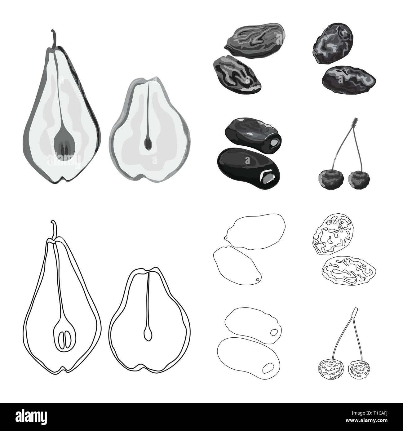 Vector design of food and raw symbol. Set of food and nature stock ...