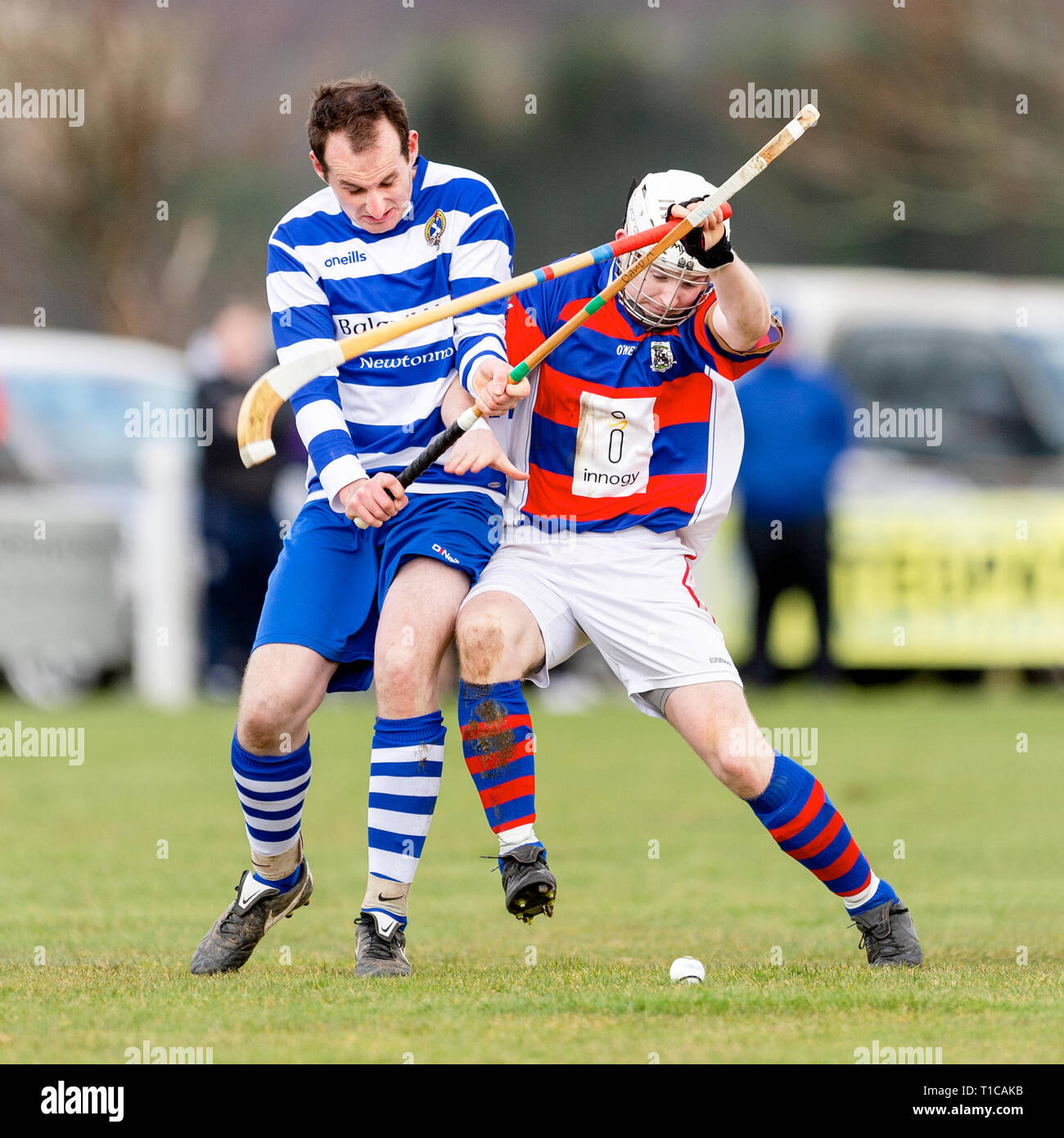 Shinty caman camanachd kingussie hi-res stock photography and images ...