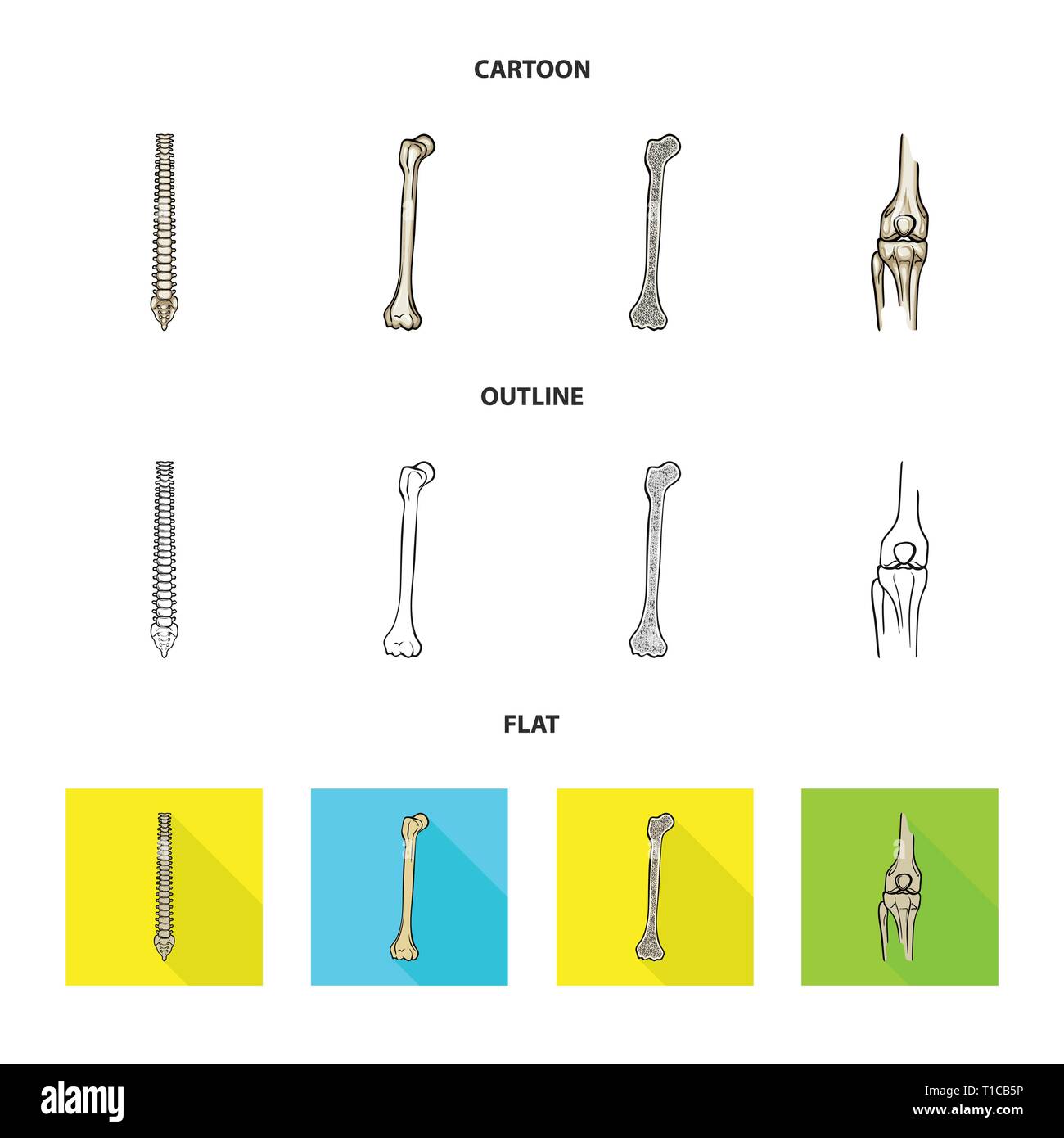 Spinal alignment Stock Vector Images - Alamy