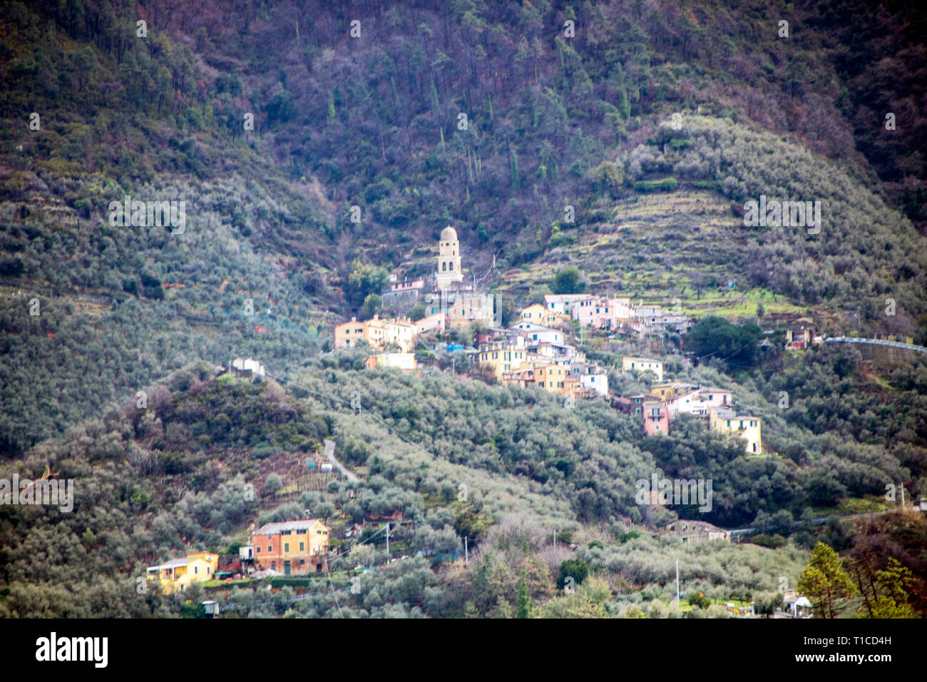 Landscape of the countryside in the five lands in Liguria region Stock ...