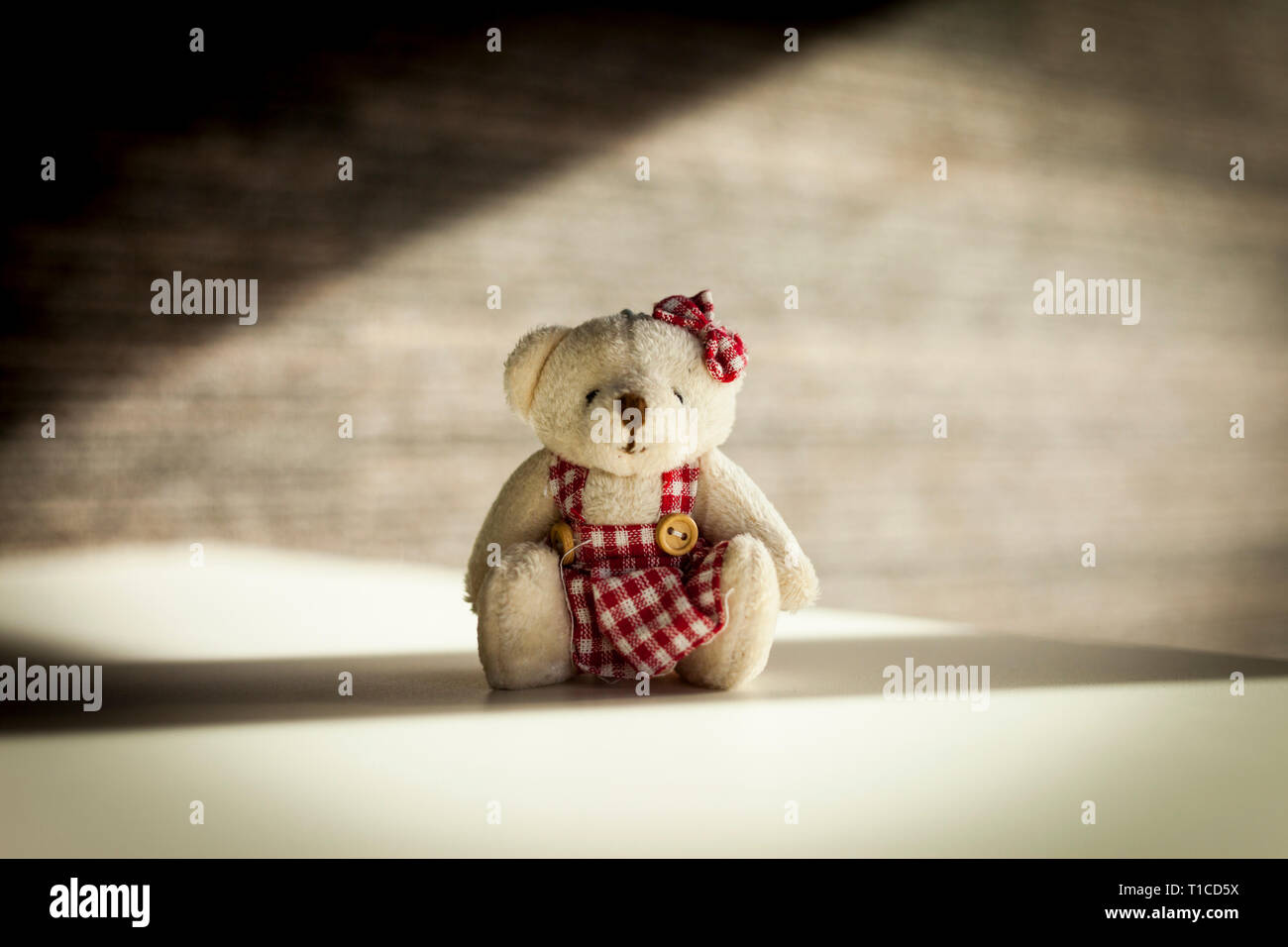 Cuddle with a teddy bear hi-res stock photography and images - Alamy