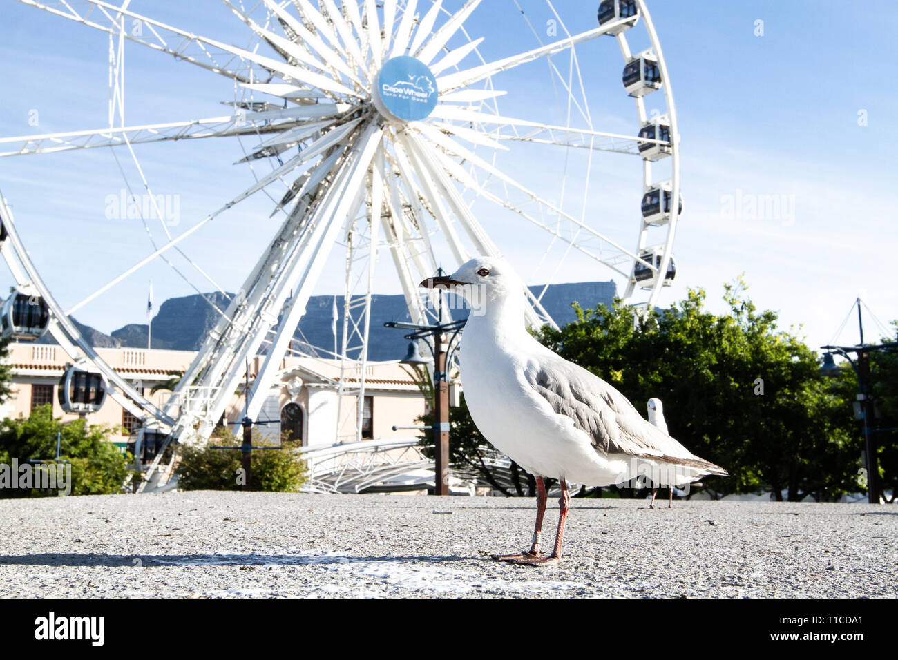 Merry go round africa hi-res stock photography and images - Alamy
