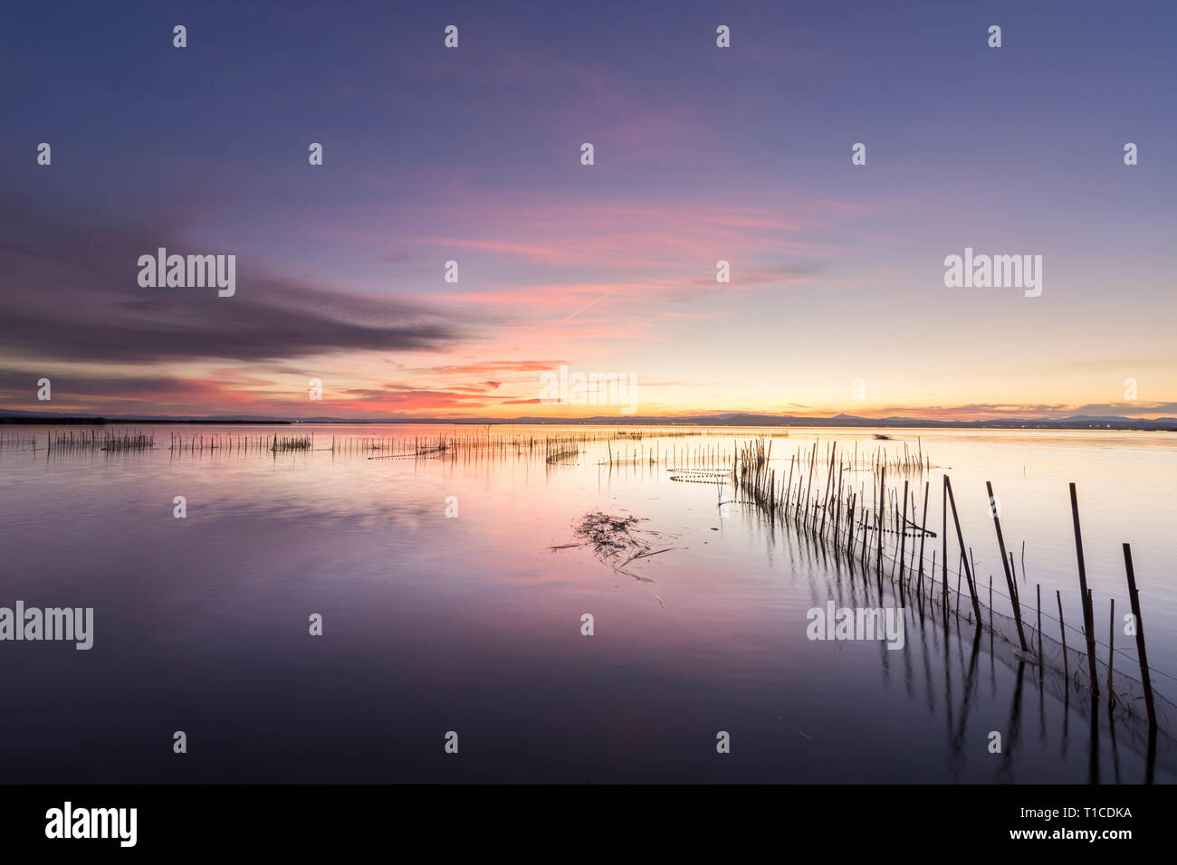 Albufera , Lagoon of Valencia, Spain Stock Photo - Alamy