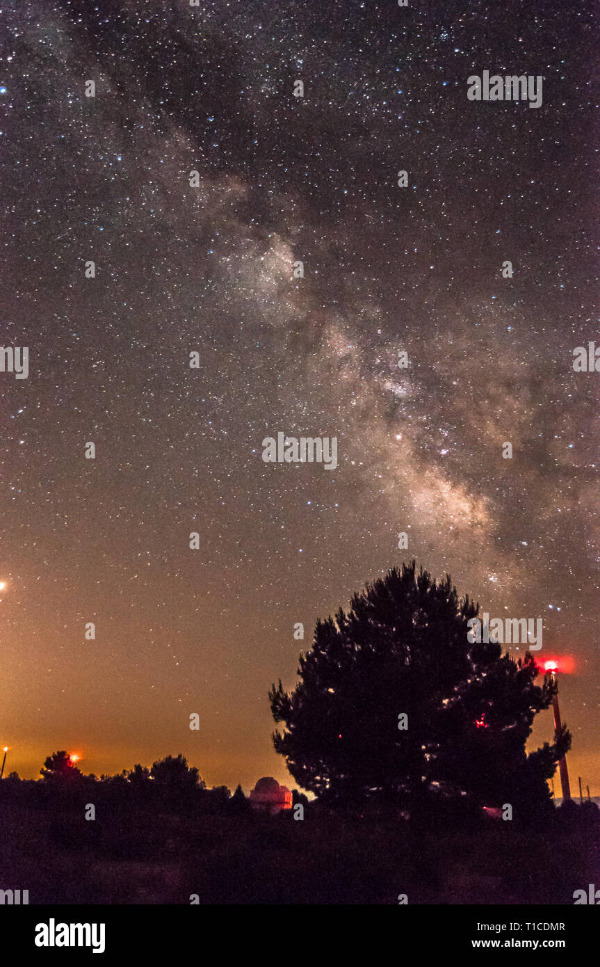 Milky way from the astronomical observatory with a tree in the ...