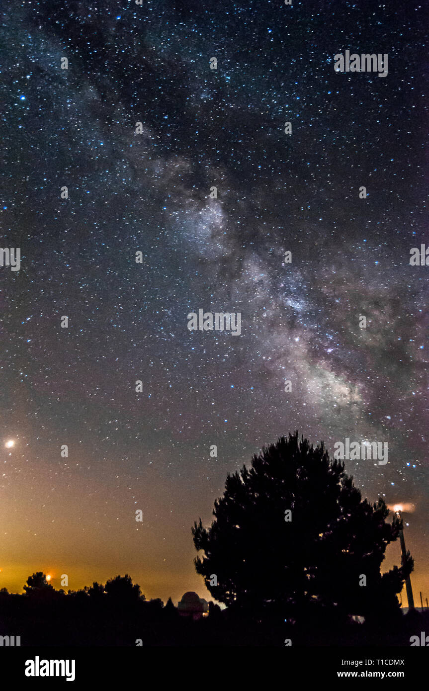 Milky way from the astronomical observatory with a tree in the ...